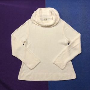 Appleseed's | Sweaters | Appleseeds Oversized Turtleneck Sweater | Poshmark